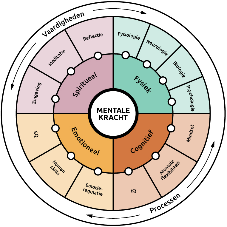 Mentale kracht model - Gestaag rijk worden